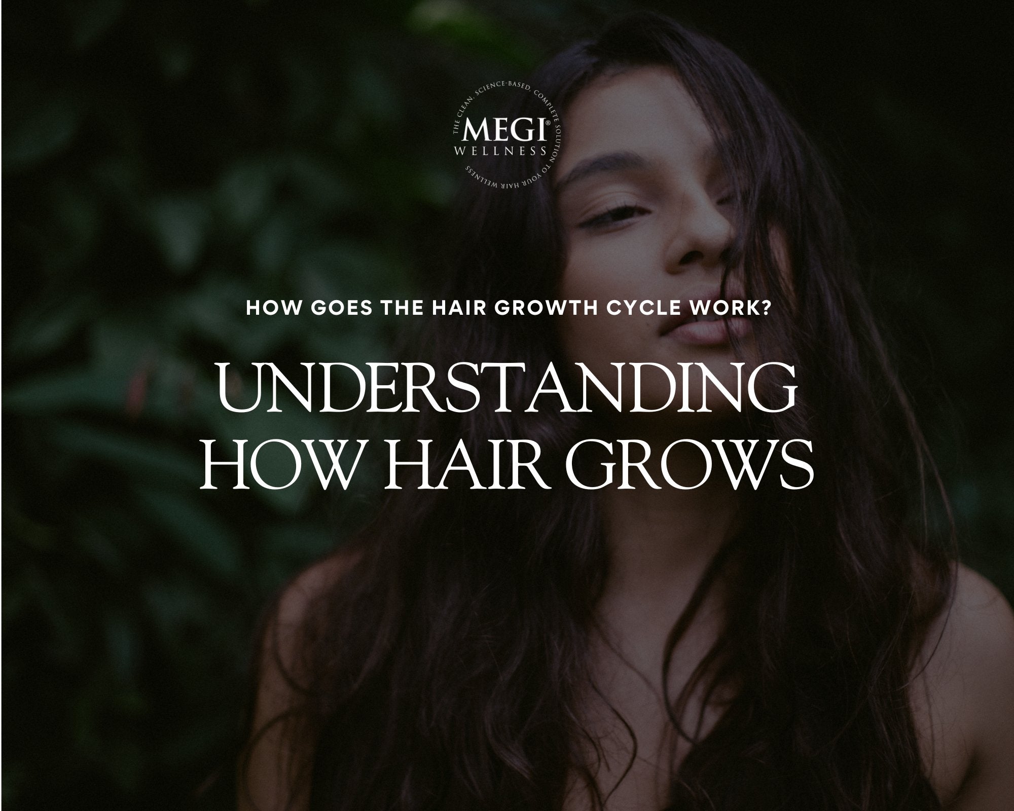 Understanding the Hair Growth Cycle: How Hair Grows | Megi Wellness ...